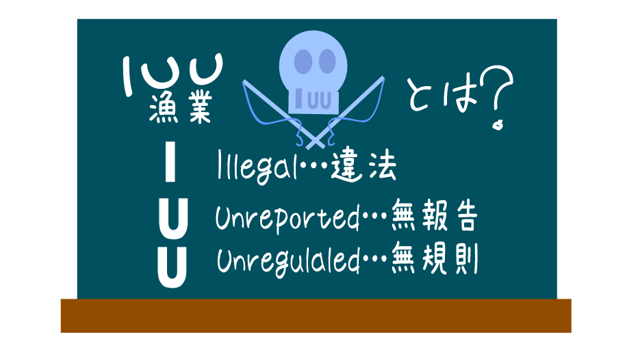 第一回山内愛子さん @近畿大学水産研究所 - IUU FORUM